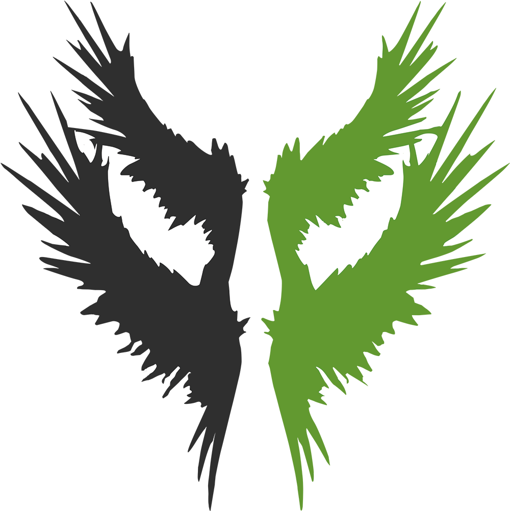 Home - Stichting Project Icarus